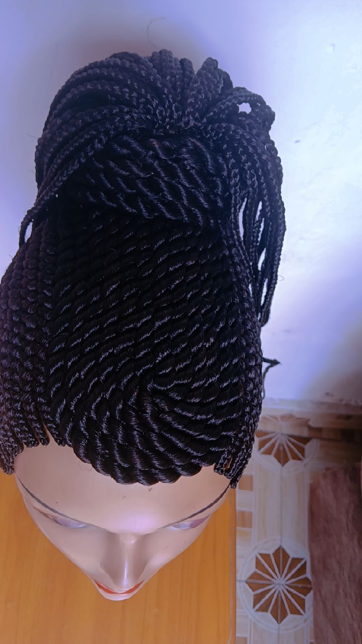 All-Up Pony Braided Wig – Fancy Wigs